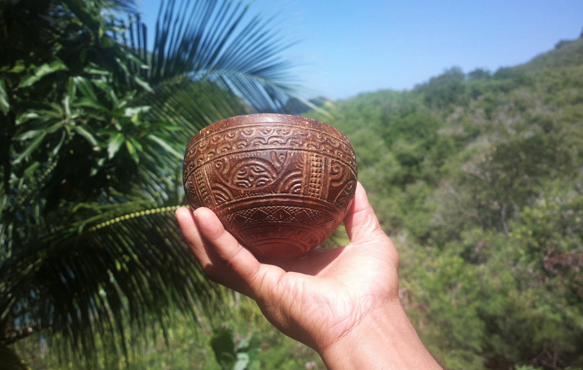 Finely carved Marquesan coconut bowl - Te Henua Enana – Cannibal Art