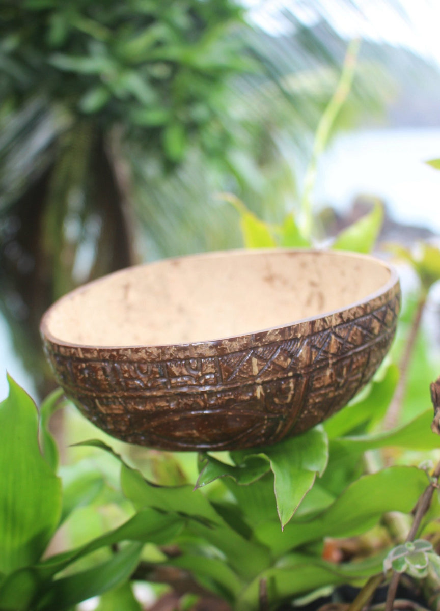 Fully carved Marquesan coconut bowl from Nuku Hiva Island – Cannibal Art