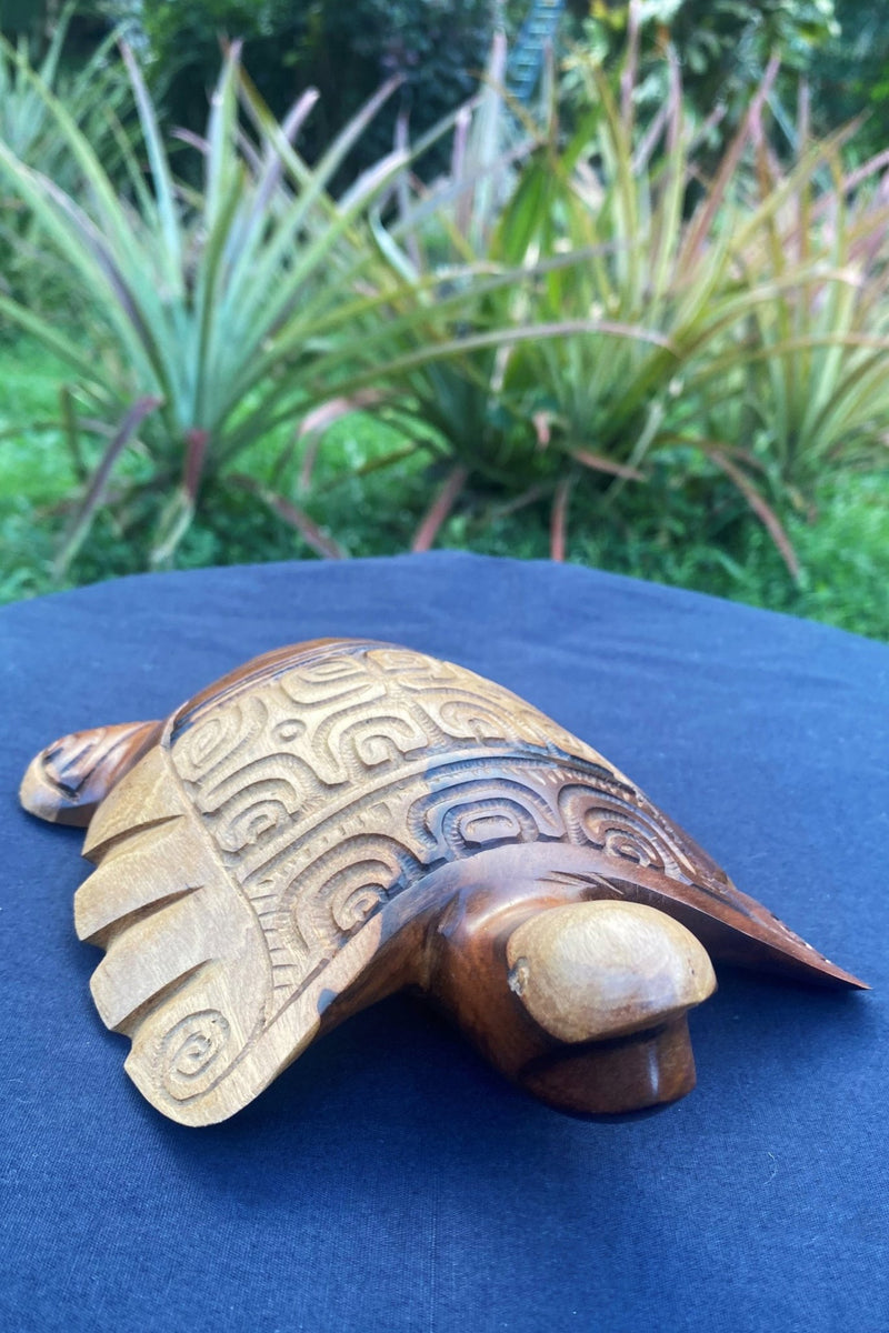 Marquesan turtle (honu) – Cannibal Art