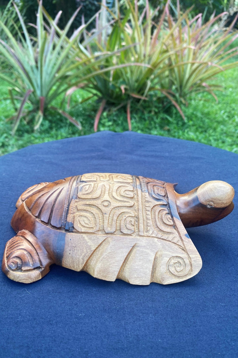 Marquesan turtle (honu) – Cannibal Art