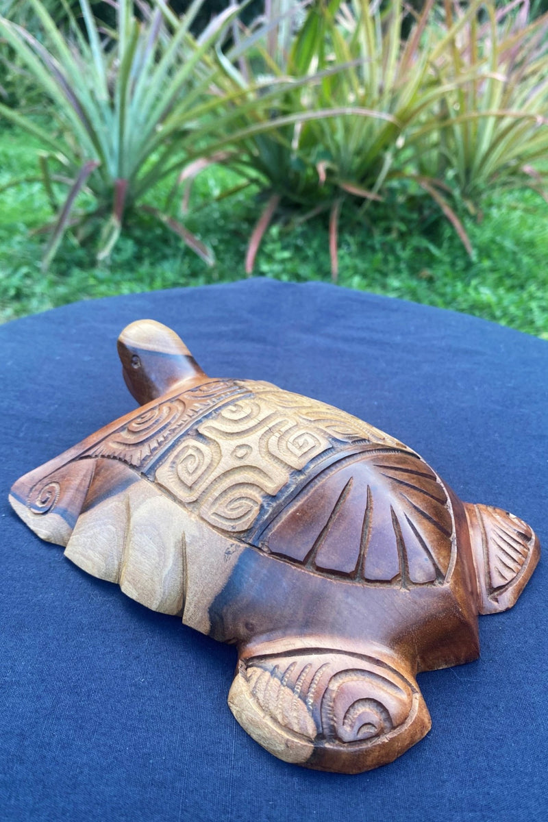 Marquesan turtle (honu) – Cannibal Art