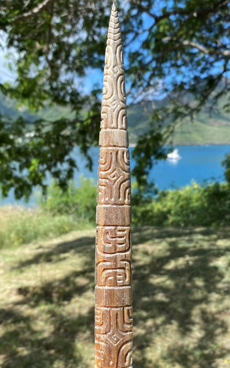 Swordfish rostrum – Cannibal Art